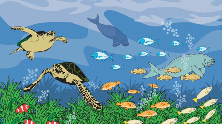 contoh organisme heterotrof | MateriKimia