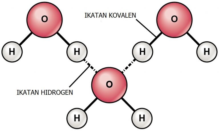 5 Contoh Ikatan Hidrogen - Materi Kimia