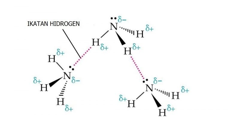 5 Contoh Ikatan Hidrogen - Materi Kimia