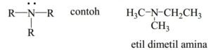 Amina – Sifat, Reaksi, Klasifikasi, Isomer, dan Kegunaan Amina - Materi ...