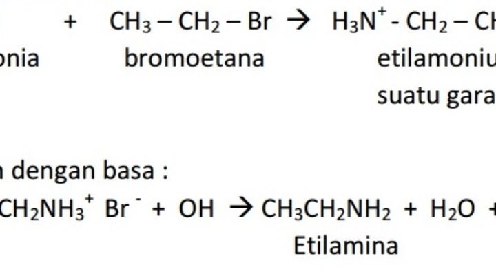 Amina – Sifat, Reaksi, Klasifikasi, Isomer, dan Kegunaan Amina - Materi ...