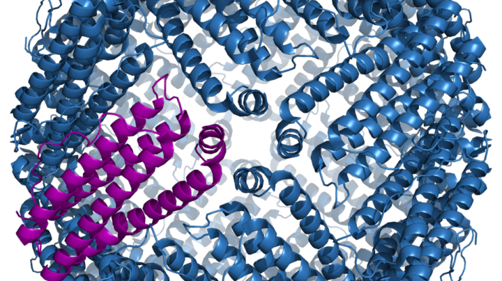 Jenis-Jenis Protein PDF - Materi Kimia
