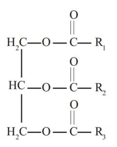 Lemak Asam Struktur Fats Saturated Lipid Fatty Unsaturated Acids Sifat ...