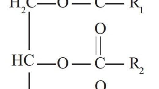 klasifikasi lemak pdf | MateriKimia